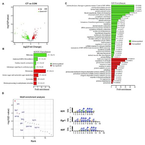 Go And Kegg Pathway Enrichment Analyses Of Degs By Rna Seq The Total Download Scientific