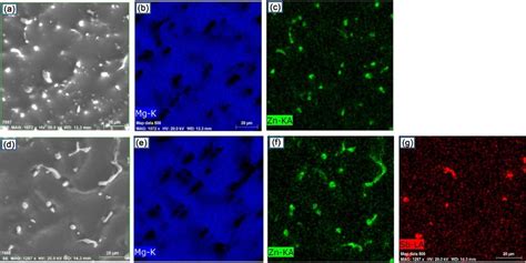 A Sem Micrograph And Eds Elemental Mapping Of B Mg And C Zn In Download Scientific