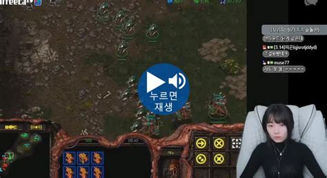 [철와대] 조일장 빙의한 파이 스타크래프트 에펨코리아