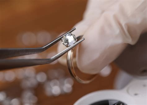 Custom Gallery Luvari