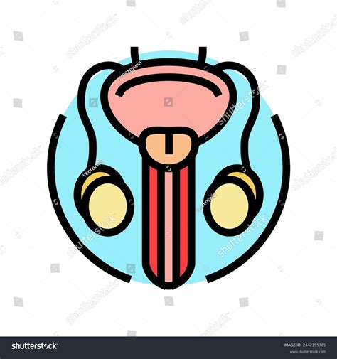 Urethral Stricture Problems Over 5 Royalty Free Licensable Stock