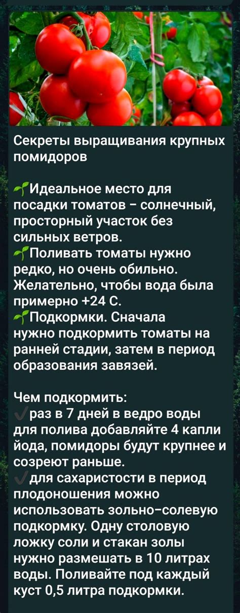 Пин от пользователя Ff на доске Огород Огород с помидорами Идеи посадки растений Посадка