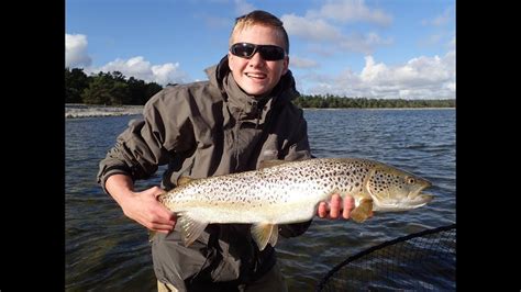Seatrout Fishing Gotland BIG TROUT YouTube