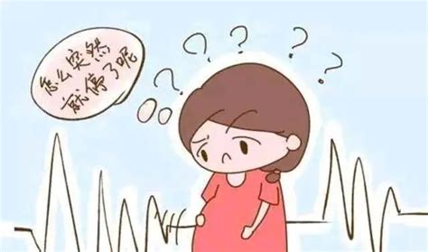胎停？这4个高风险因素不可不防