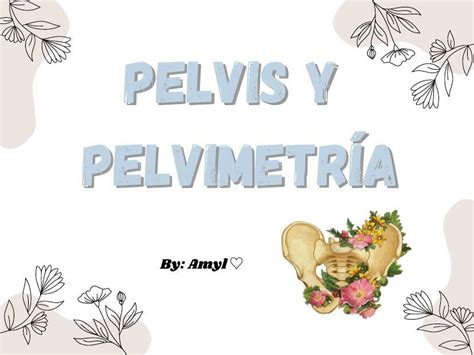 Pelvis Y Pelvimetr A Aracelly Milagros Yachi Leiva Udocz