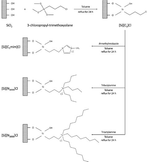 Schematic Representation Of The Preparation Of Sils Their Chemical Download Scientific Diagram