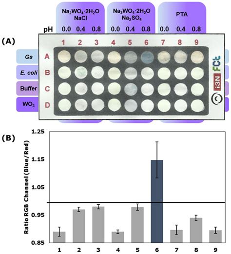 Eab Detection A Paper Based Sensor Photograph Of The Colorimetric