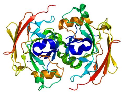 Machine Learning Guided Directed Evolution For Protein Engineering