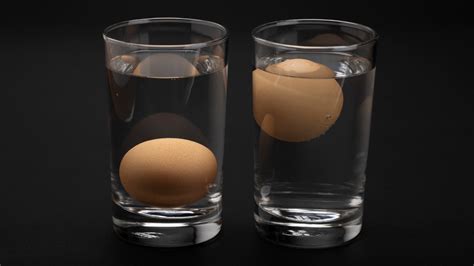 ¿un Huevo Fresco Flota En El Agua O Se Hunde Le Explicamos El Truco