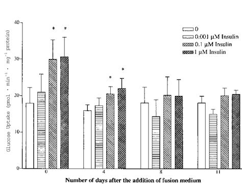 Effect Of Insulin Exposure On 2 Deoxy D Glucose Uptake In Cultured