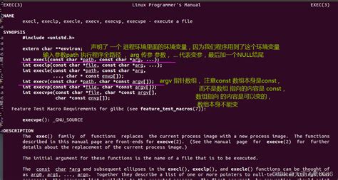 349exec族函数及实战1execv 实例 Csdn博客