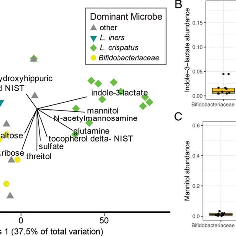 Ordination Of Functional Pathways Within The Vaginal Microbiome An