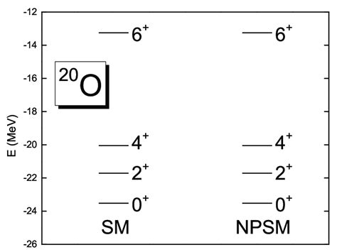 The Low Lying Spectra Of 20 O Are Studied In The Shell Model And Npsm