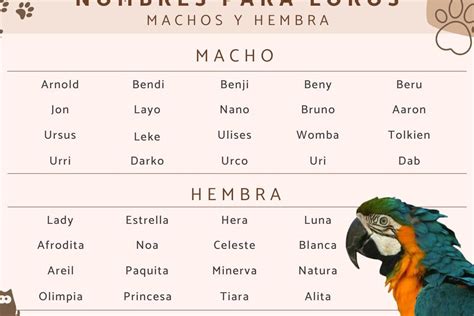 Los 27 mejores apodos para tu perico descubre la lista más divertida