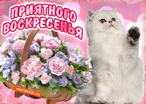 Приятного Воскресенья Скачать бесплатно на