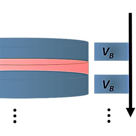 The Cylindrical Disk Model Of The Thylakoid Membranes M—membrane