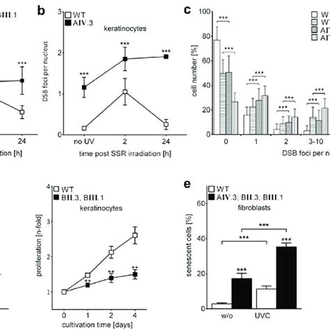Dna Dsb Repair Deficiency Proliferation Delay And Senescence In