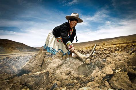 Mujeres Y Cambio Climático Libélula Libélula