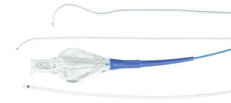 Merit Maestro® Microcatheters Merit Medical