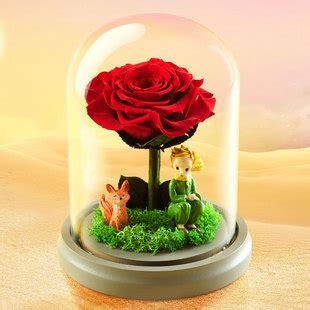 小王子真花玫瑰玻璃罩送女友表白生日礼物情人节永生花成品摆件 阿里巴巴