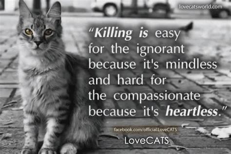 We Say No To Kill Shelters Euthanasia Is Not Acceptable We Must Find