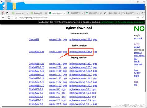 前后端分离项目 阿里云服务器windows系统配置nginx并部署前端项目（踩坑实录） Nginx前后端分离部署 Csdn博客