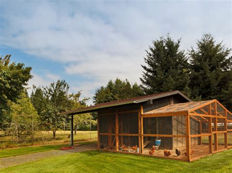 Essential Supplies And Equipment For Backyard Chicken Keepers
