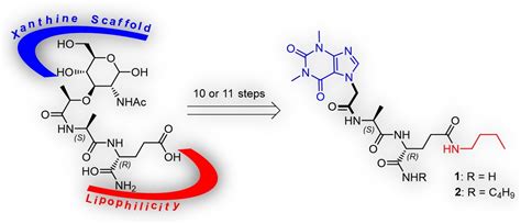 Improved Synthesis Of D‐isoglutamine Rapid Access To Desmuramyl Analogues Of Muramyl Dipeptide