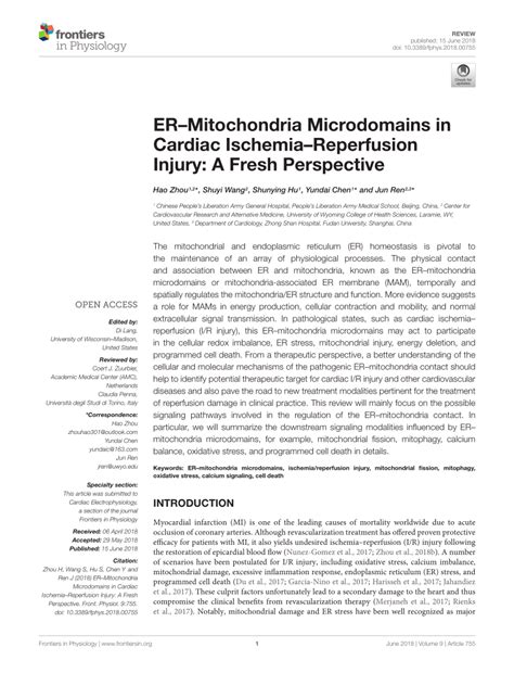 Pdf Er Mitochondria Microdomains In Cardiac Ischemia Reperfusion