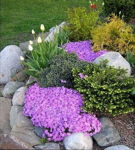 низкорослые цветы однолетники для клумбы Rock Garden Landscaping