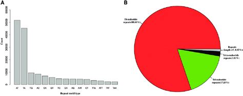 Simple Sequence Repeat Ssr Or Microsatellite Analysis A Bar Plot