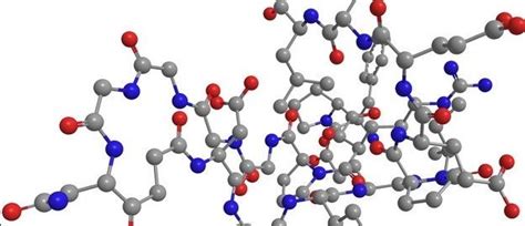 多肽结构的理论搜索 知乎
