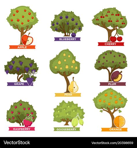 Orchard Trees And Bushes With Ripe Fruits Vector Image