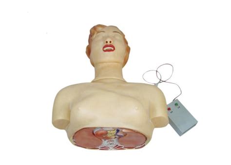 Human Body Medical Teaching Models For Cardiopulmonary Resuscitation
