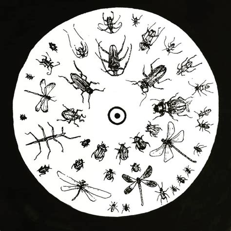 Pen And Ink Drawing By Luna H For Inktober Pen And Ink Ink Drawing