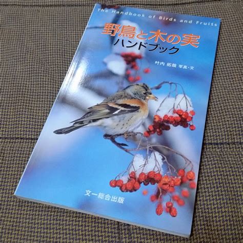 野鳥図鑑 2018 03 21 日本の野鳥識別図鑑