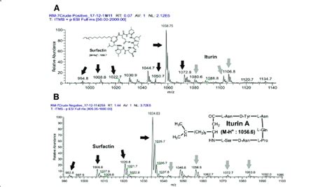 Lcms Chromatograms Representing Surfactin And Iturin Molecular Ion Download Scientific Diagram