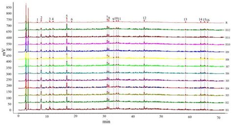 一种大山楂丸hplc检测方法、大山楂丸指纹图谱及应用与流程