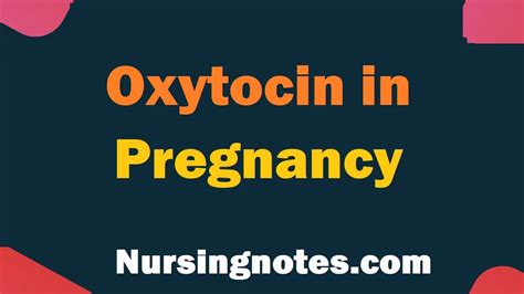 How To Increase Oxytocin In Pregnancy Nursingnotes