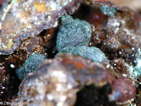 Bayldonite Mineral Specimen For Sale