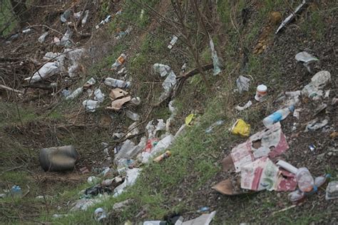 숲 의 외곽 근처 길가에 정령 덤프 플라스틱 쓰레기 플라스틱 및 기타 폐기물환경오염 나무 들 사이 잔디에 플라스틱 파편 환경 플라스틱 오염은 생태학적 문제입니다 가방에 대한