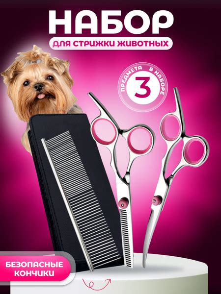Ножницы для стрижки собак и кошек, набор инструментов для груминга ...