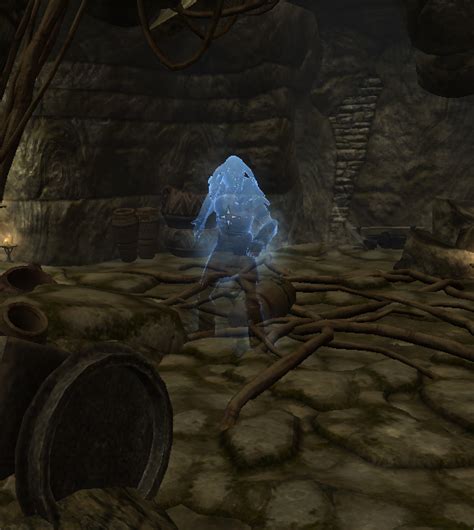 Драконий приспешник The Elder Scrolls Wiki Fandom