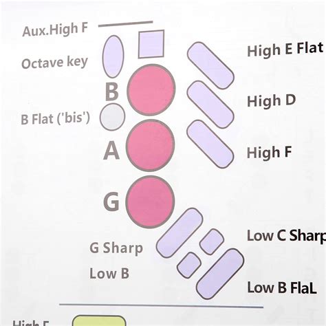 Saxophone Fingering Chart Poster Basics Exercise