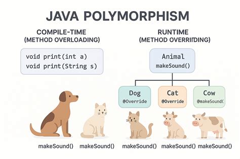 Interface Vs Abstract Class In Java Which One Should You Choose By