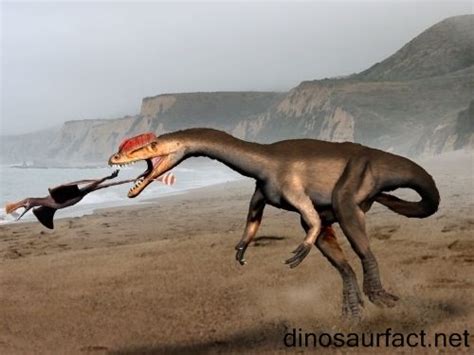 Halticosaurus Pictures And Facts The Dinosaur Database