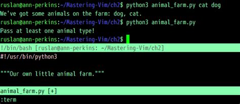 Terminal Mode Mastering Vim Book