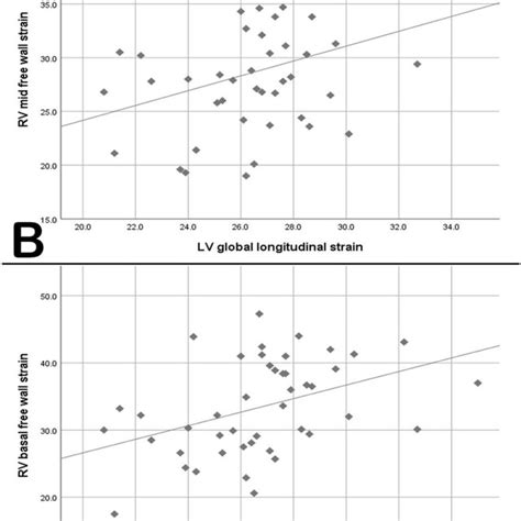 Strain Analysis Showing Left Ventricular Global Peak Longitudinal