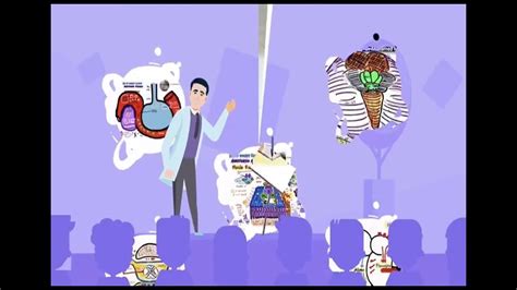 Cns 3 Cbf Factors Cvr And Cpp Dr M Magdy Youtube