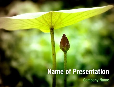 Plant Breeding PowerPoint Templates Plant Breeding PowerPoint Backgrounds Templates For